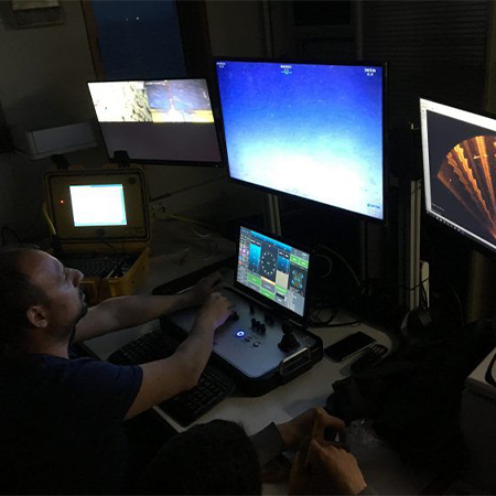 Lyra S Light Work Class ROV