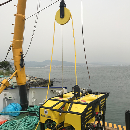Lyra S Light Work Class ROV
